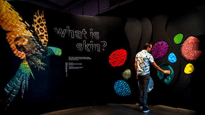 The Science of Skin - SouthFloridaFamilyLife.com - Broward, Miami-Dade ...