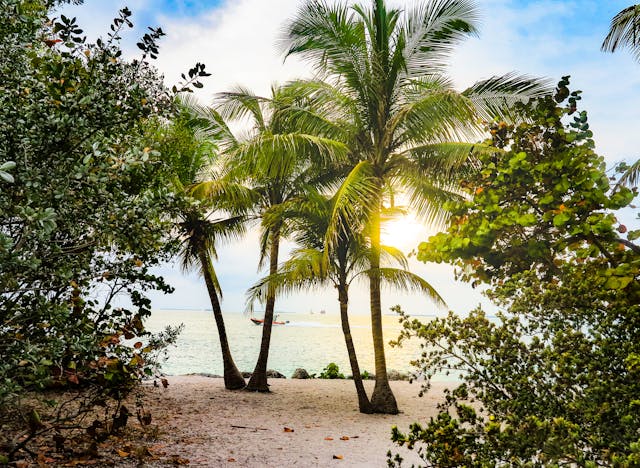 Weekend Getaways in South Florida Kids Will Love ...