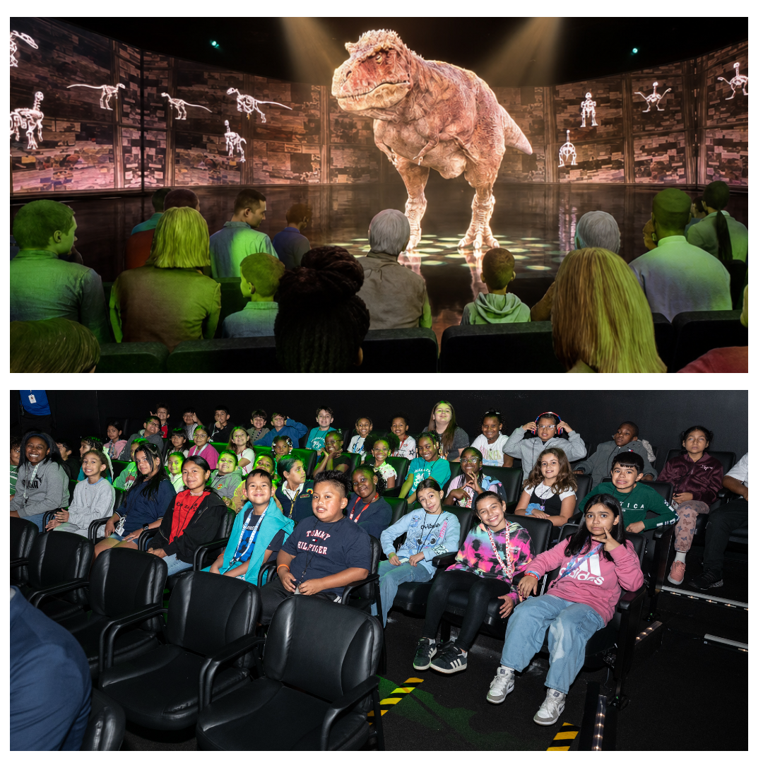 A New Dimension of Discovery: Inside the Museum of Discovery and ...